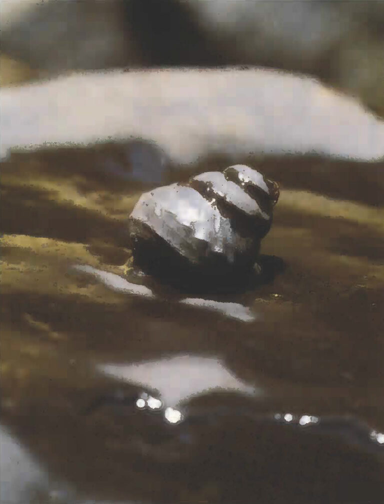 The (Unofficial) Snail Capital of America - Alabama Heritage