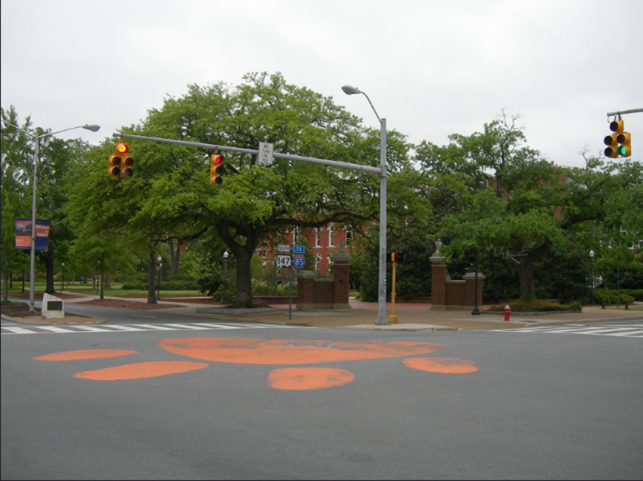 Auburn's Toomer's Corner - Alabama Heritage