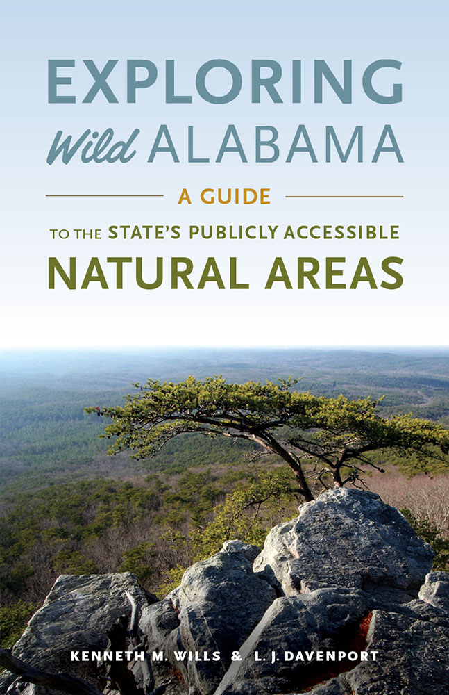 An Exceptionally Detailed Guide to the Most Beautiful Natural ...