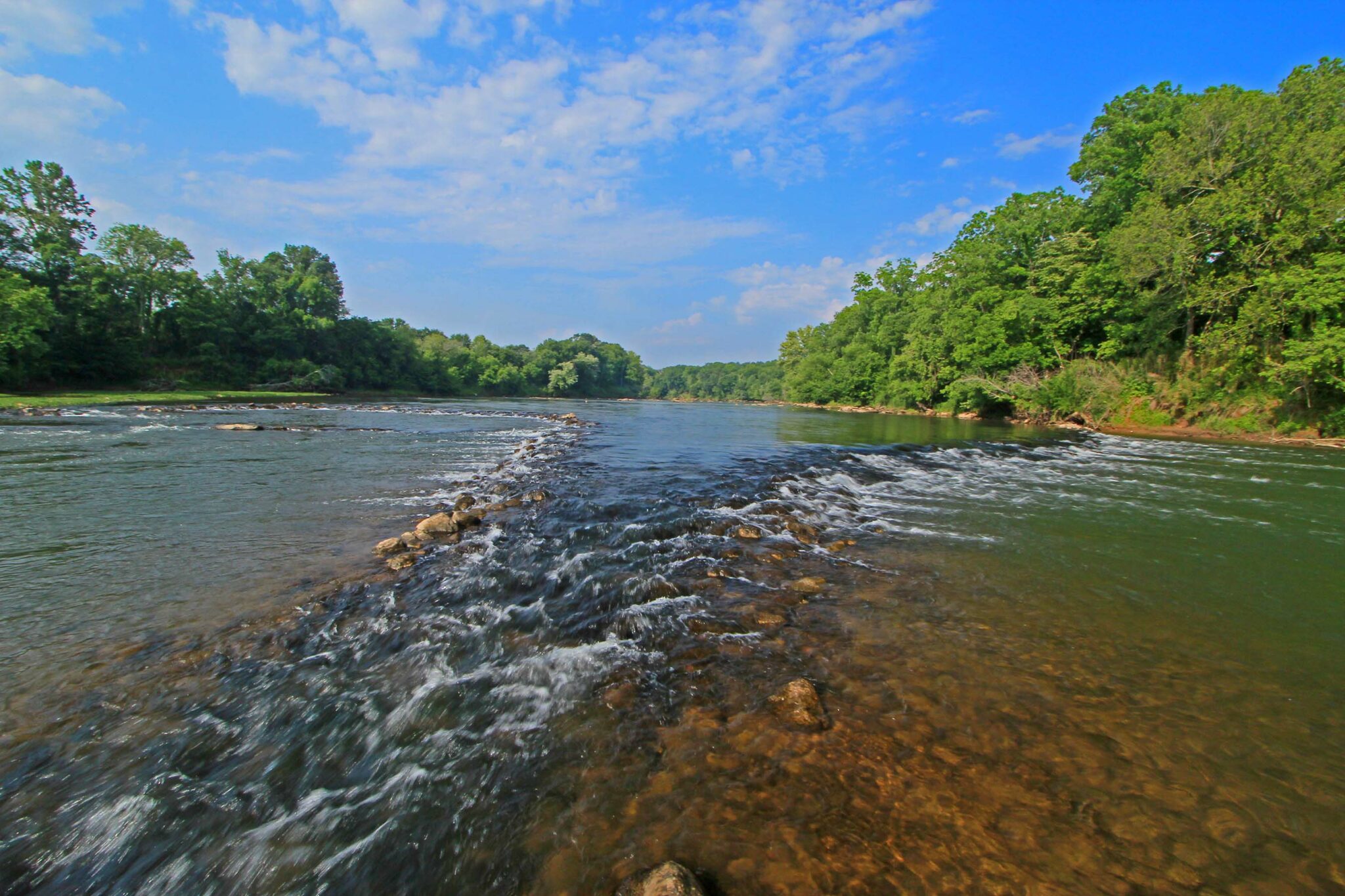 Witness the Wonder: A Glimpse of "Southern Rivers" by Scot R. Duncan ...
