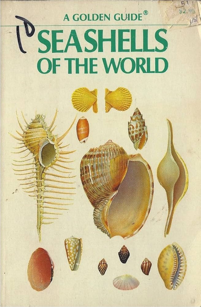 Top Five Book Recommendations by Our Project Editor, Jennifer ...
