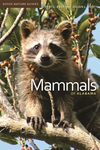 Paw-sitively Wild: Feline Encounters in Alabama - University of Alabama ...