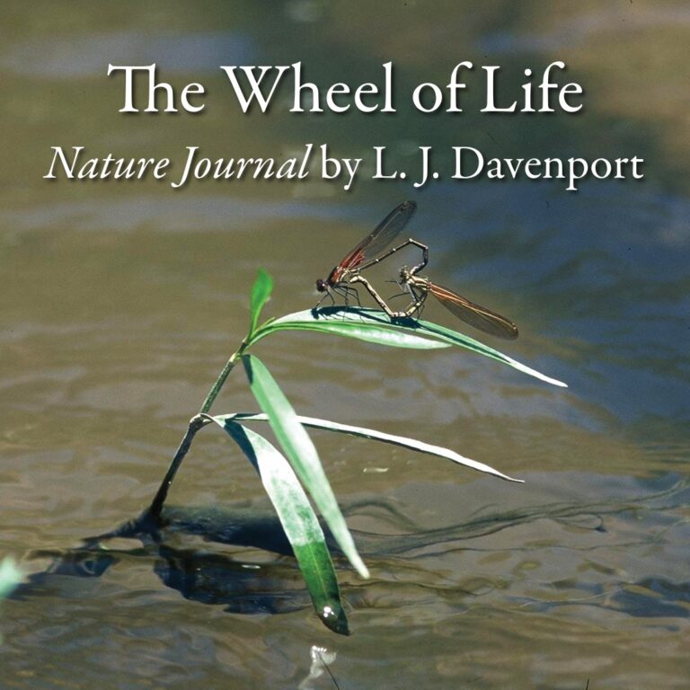 Nature Journal: The Wheel of Life - University of Alabama Press
