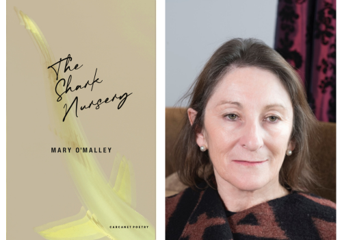 Mary O'Malley Shortlisted for 2025 Pigott Poetry Prize - Carcanet Press