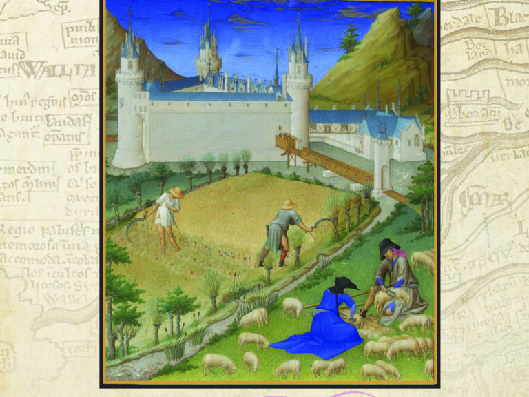 Wool: The Wealth of England - Oxbow Books