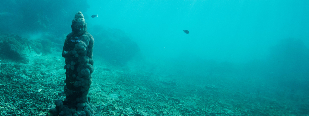 Discover a new world: Landscape Beneath the Waves - Oxbow Books
