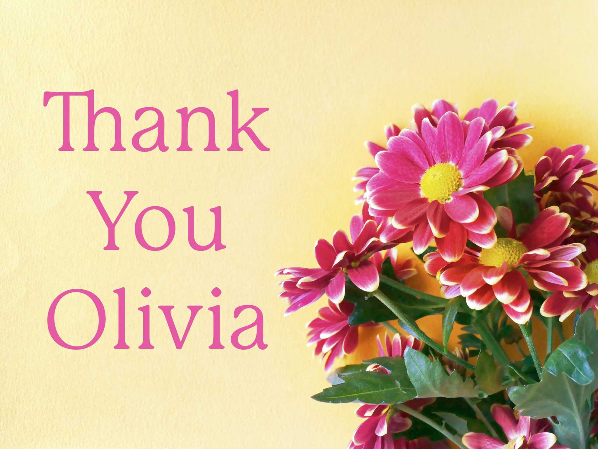 Thank you, Olivia! - Catholic University of America Press