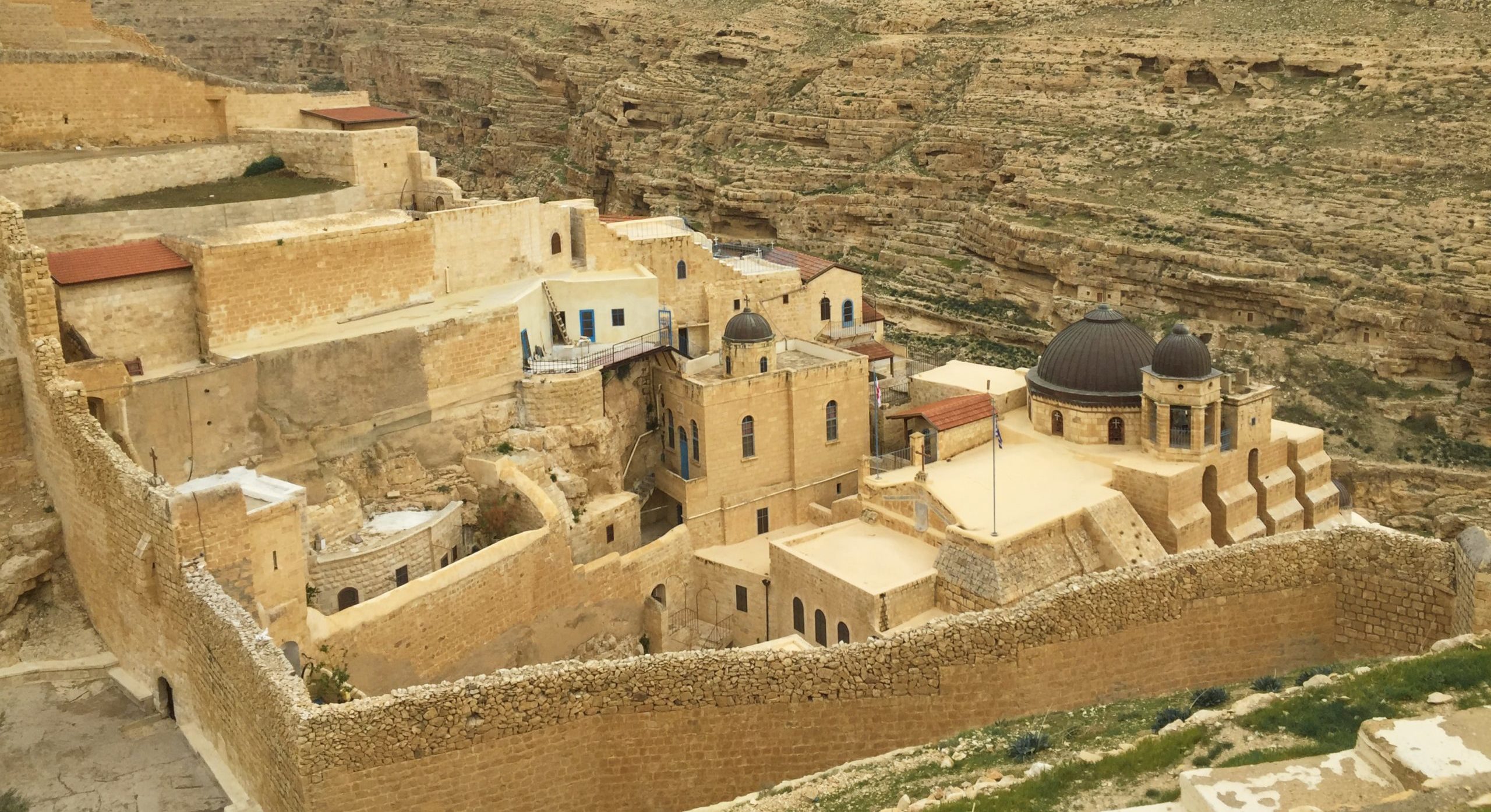 The Palestinian Response to Liberation from Colonialization - Cornell ...