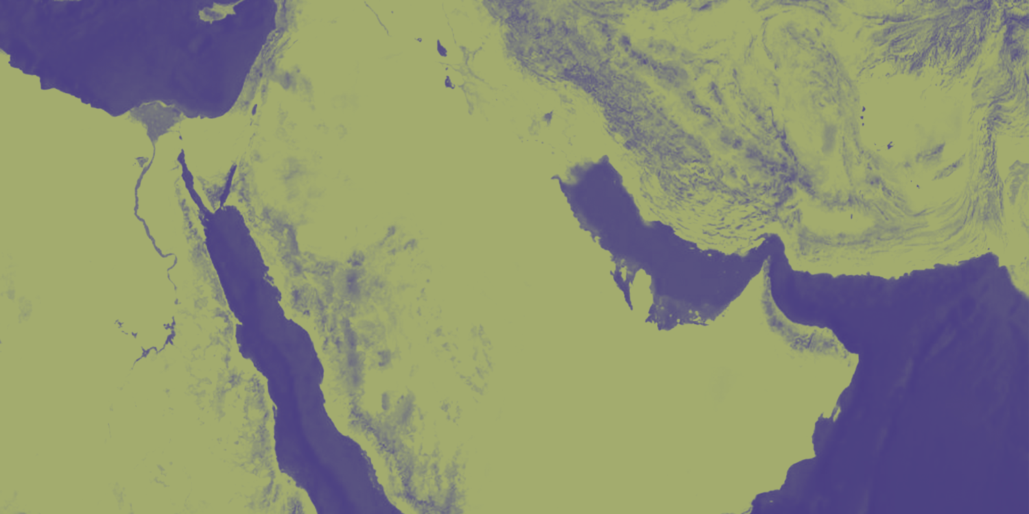 Middle East Studies - Cornell University Press