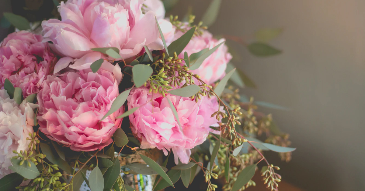 Mills & Boon Modern Author Helen Bianchin Retires - Romance.com.au