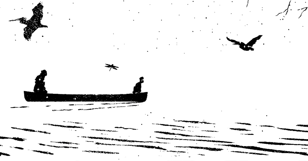 Catherine Milne on trusting yourself as a publisher - HarperCollins ...