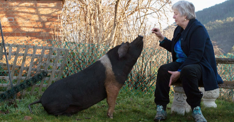 A Day in the Life with Sally Wise - HarperCollins Australia ...