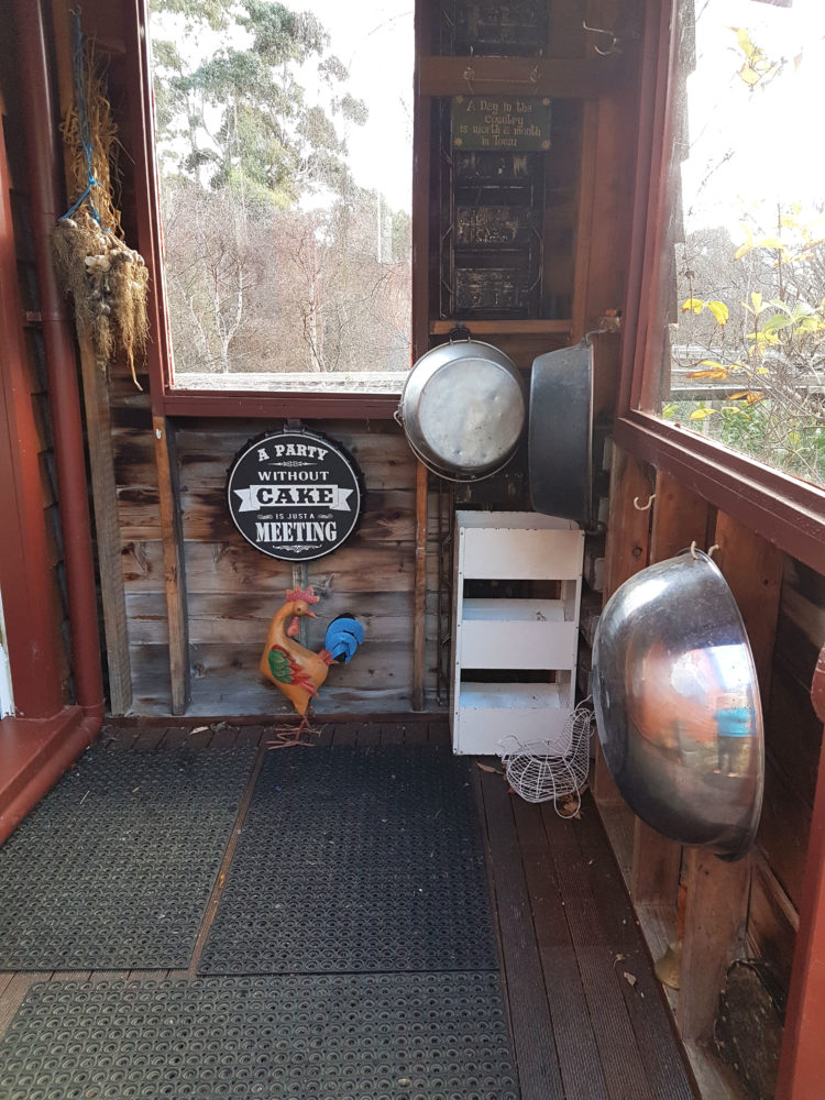 A Day in the Life with Sally Wise - HarperCollins Australia ...