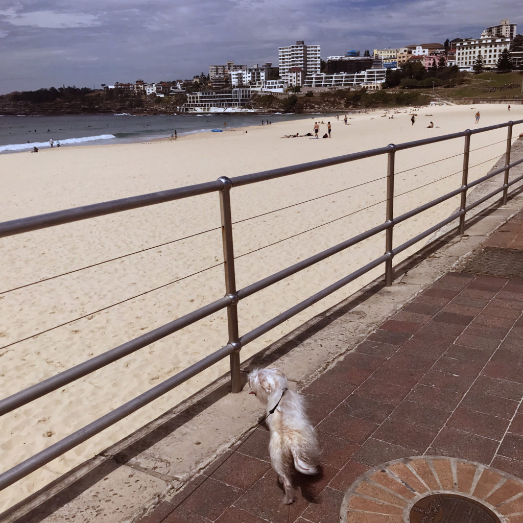 Day in the Life with Katrina Lawrence - HarperCollins Australia ...