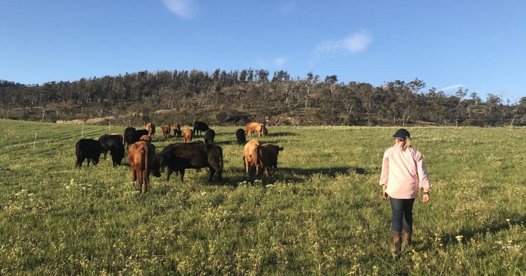 A day in the life with Rachael Treasure - HarperCollins Australia ...