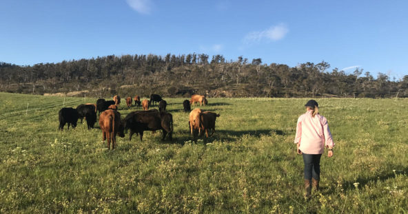 A day in the life with Rachael Treasure - HarperCollins Australia ...