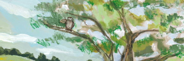 Harper Muse Classics: Pretty Books - Painted Editions (Summer 2023 ...