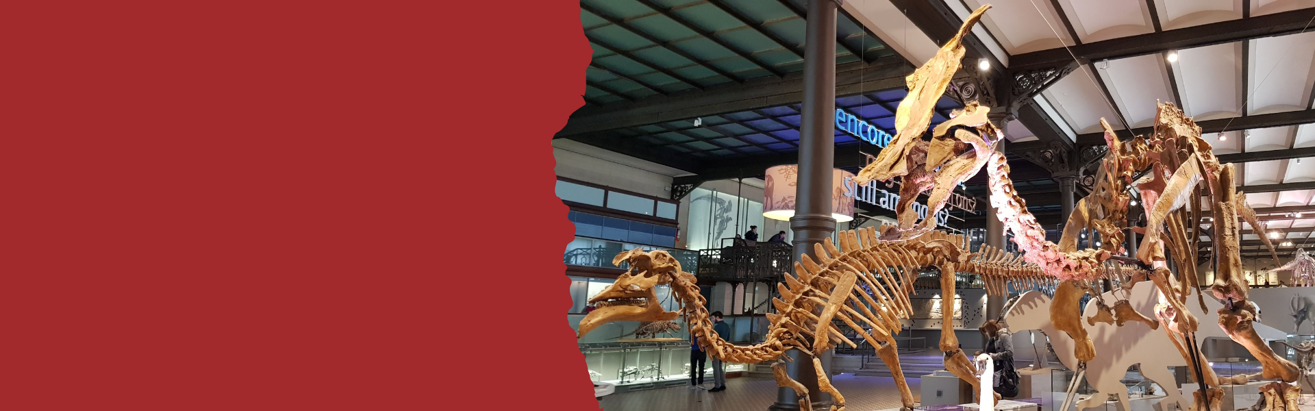 Indiana University Press