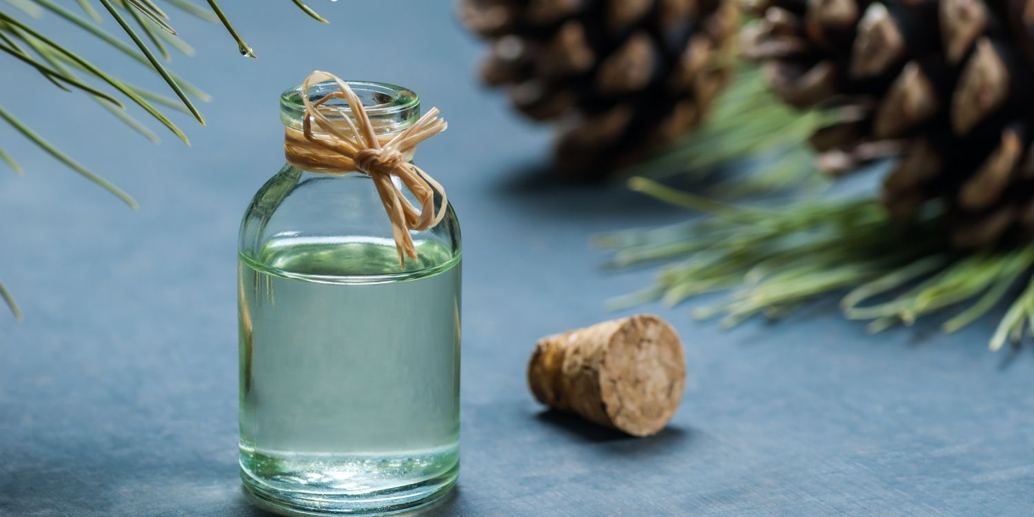 History about Turpentine Labor Camps - Kensington Books Publishing