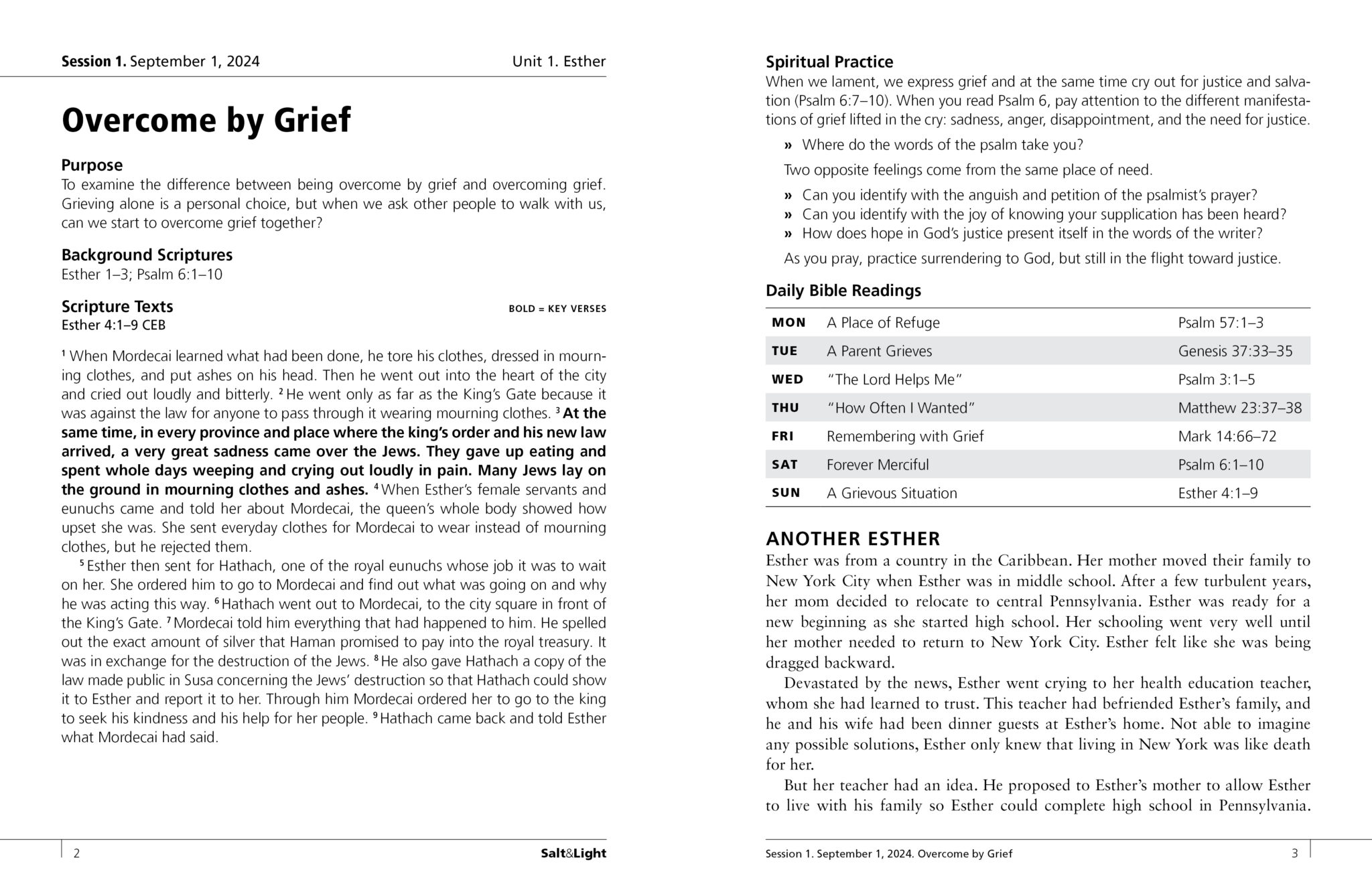 Salt & Light - Menno Media