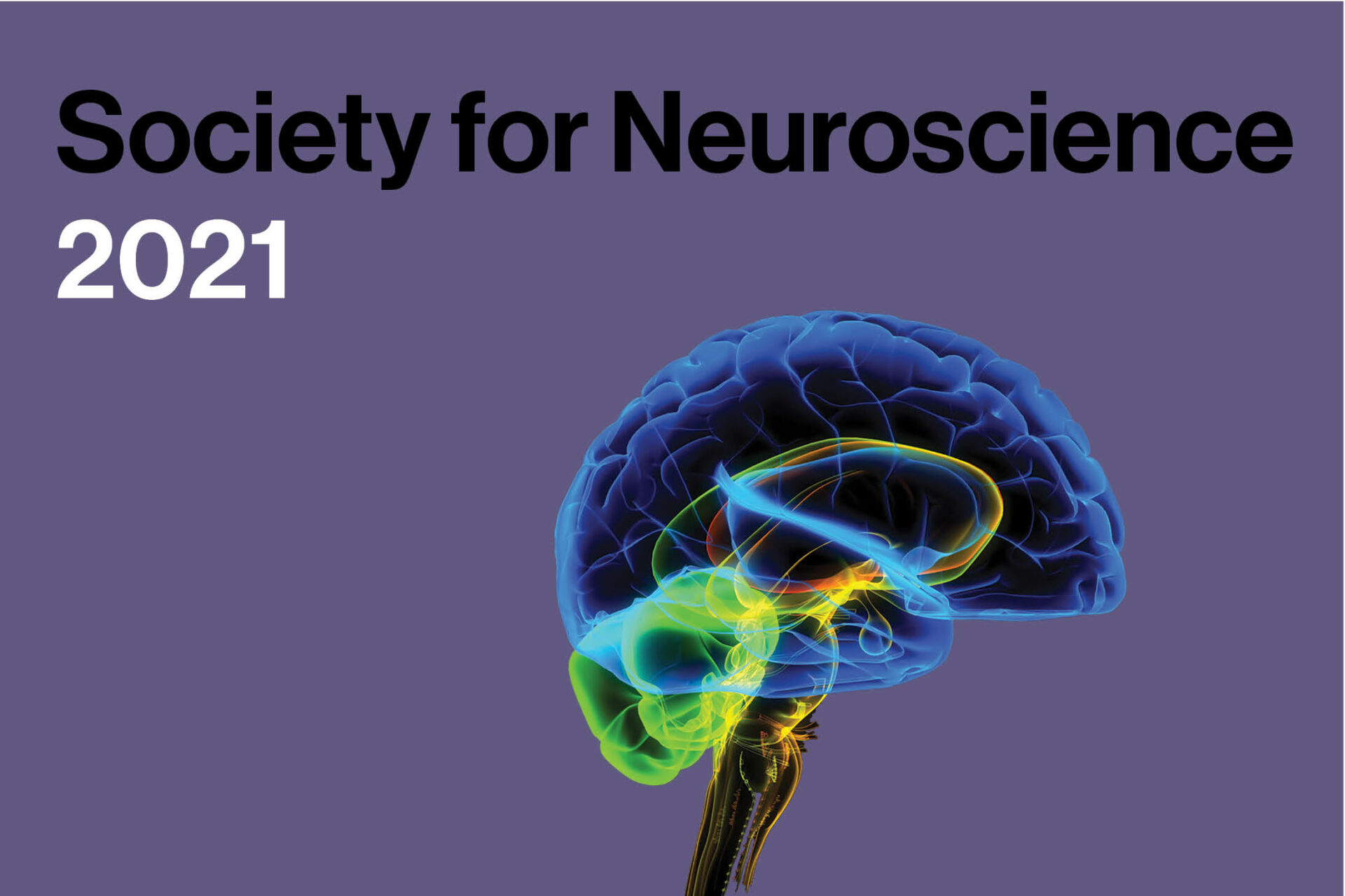 What to read for Society for Neuroscience 2021 - MIT Press