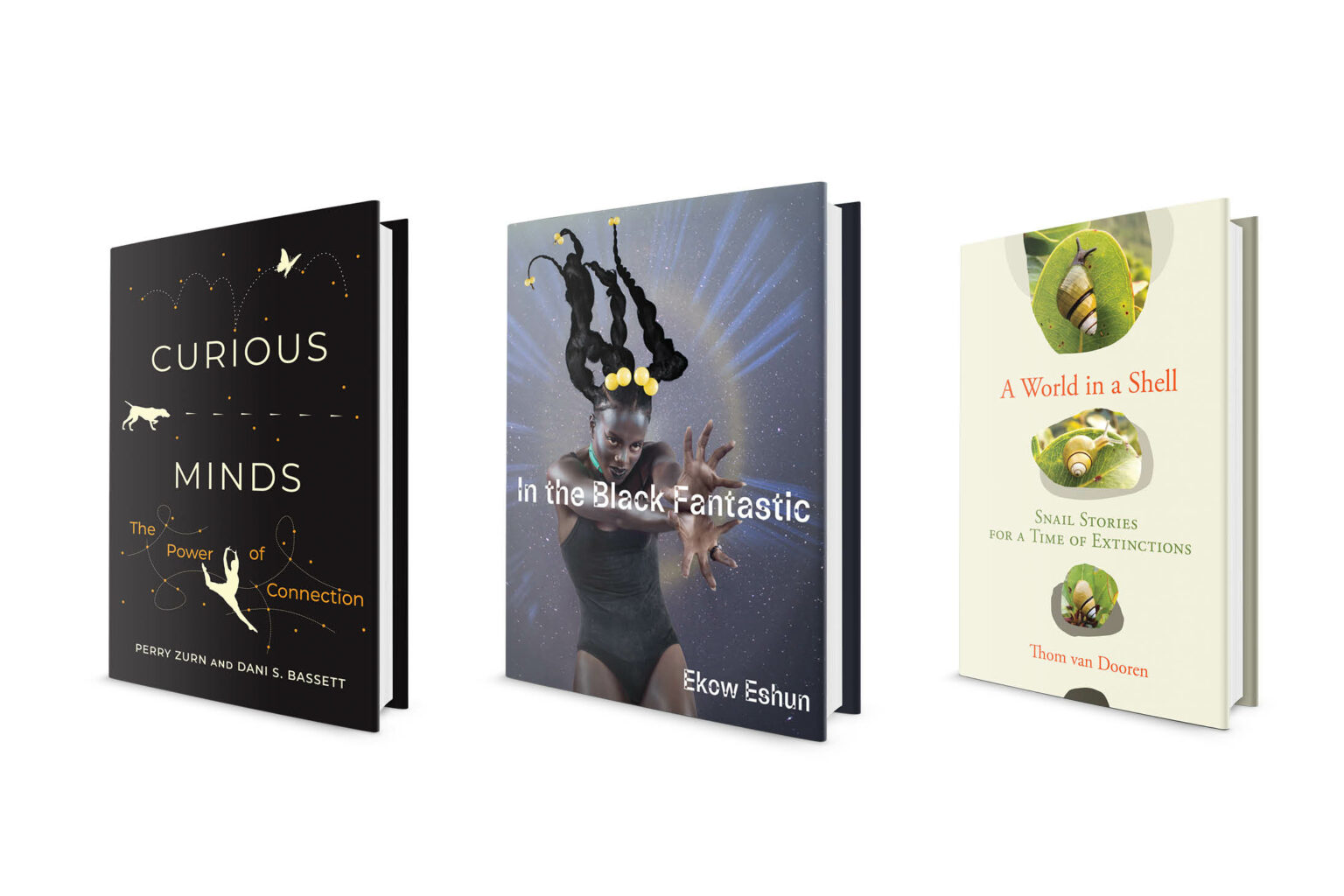September books: Curious Minds, In the Black Fantastic, A World in a ...