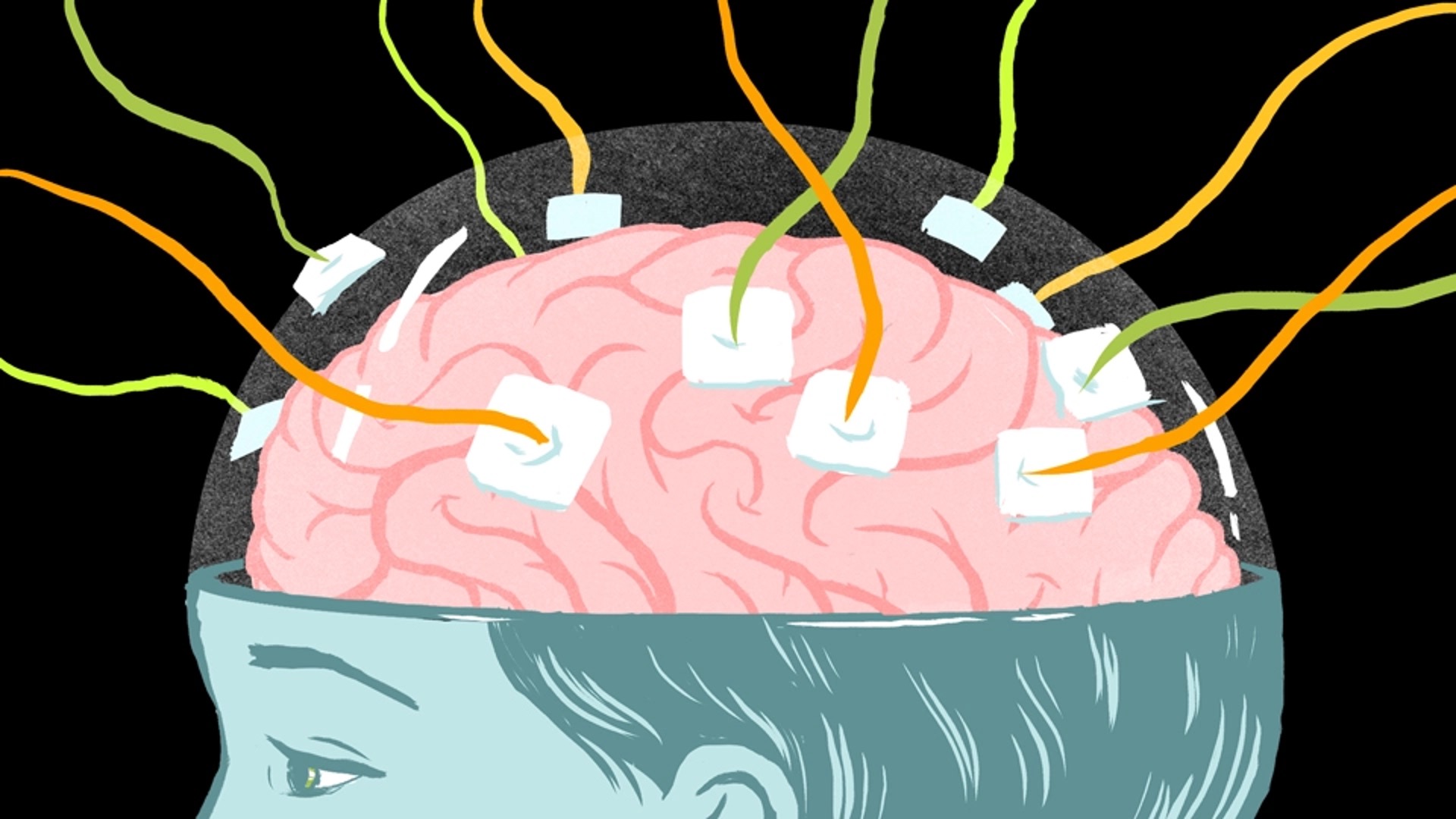 How Your Brain Works – Neuroscience Experiments for Everyone - MIT Press