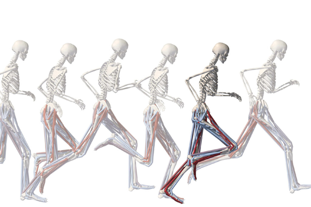 Books for exploring movement - MIT Press