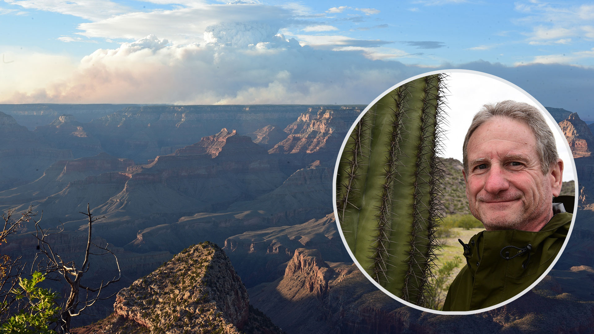 A Century of Fuel, a Lightning Strike, and Apache Trout