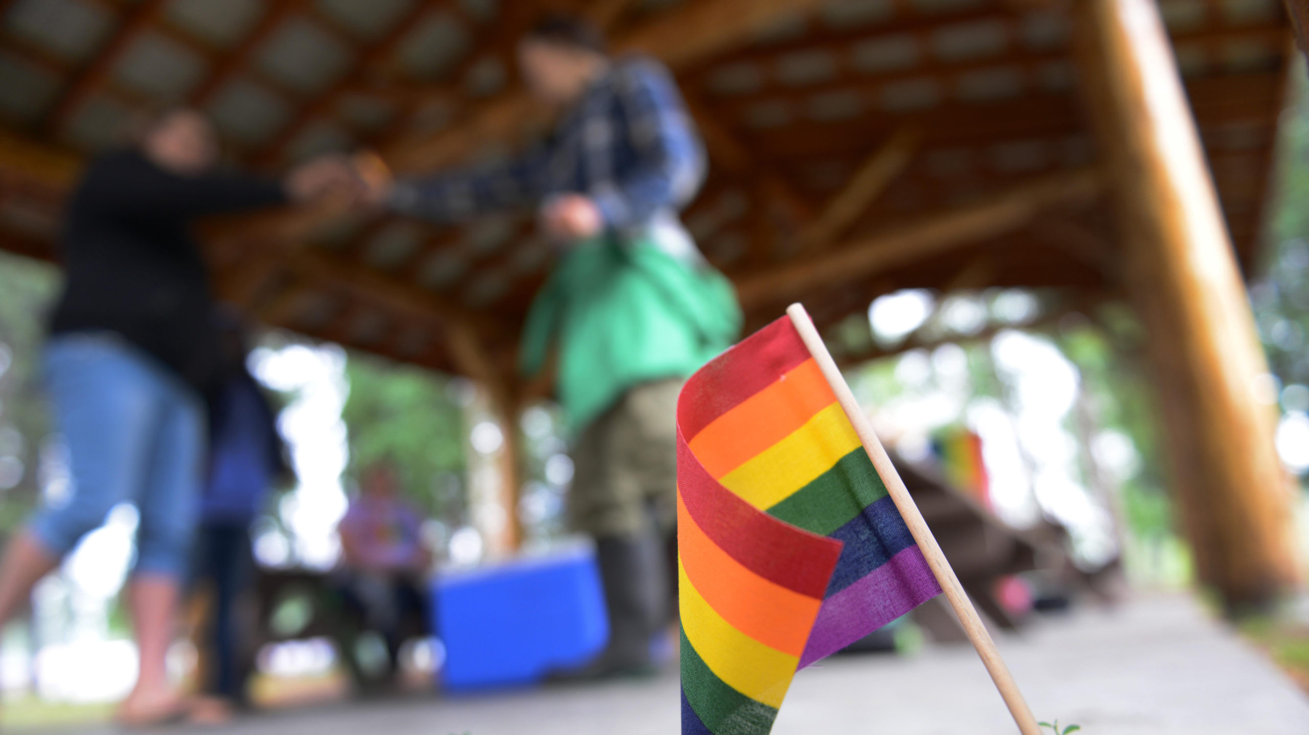 The gang’s all queer, or at least, some are - NYU Press