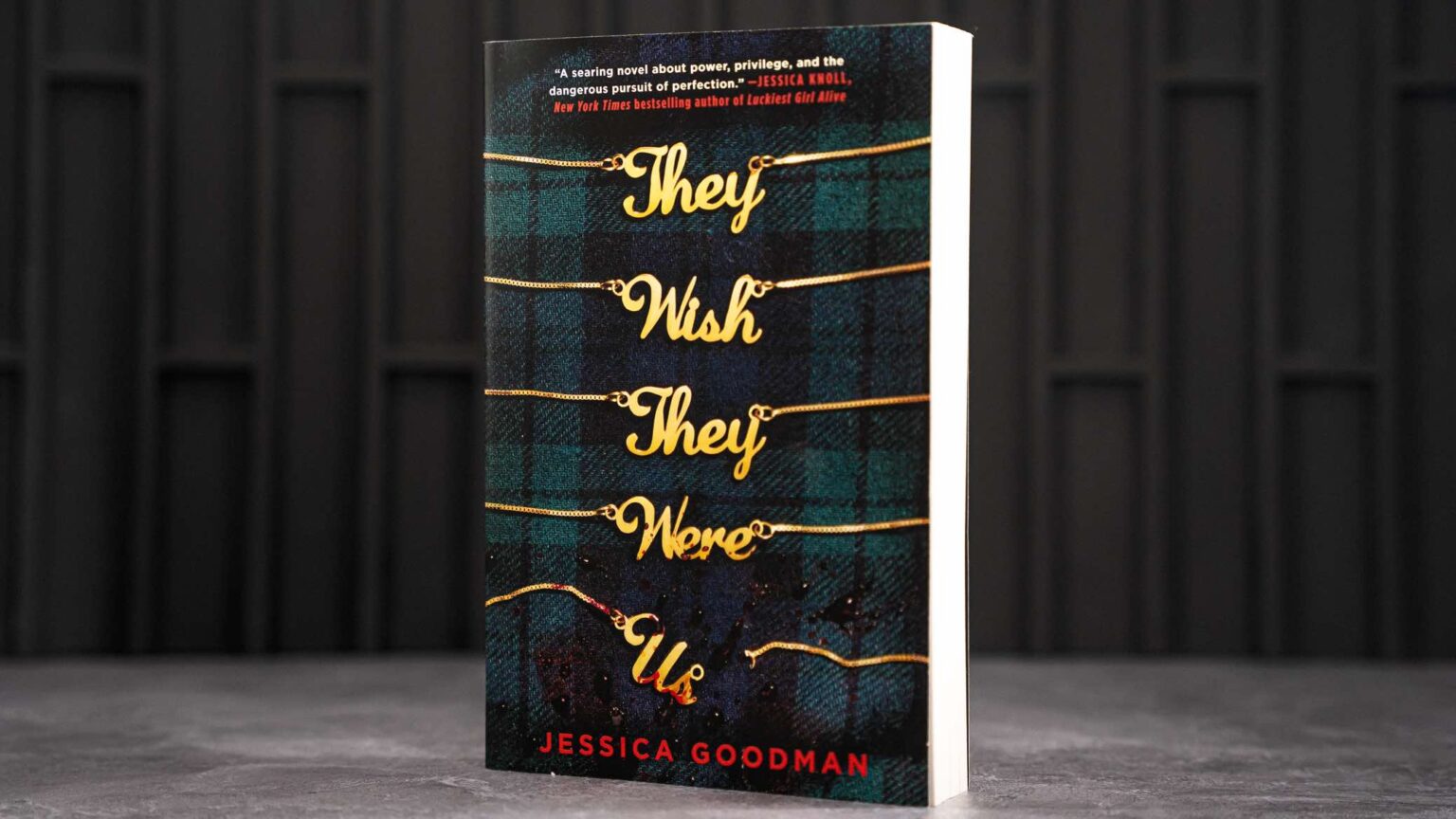 They Wish They Were Us by Jessica Goodman