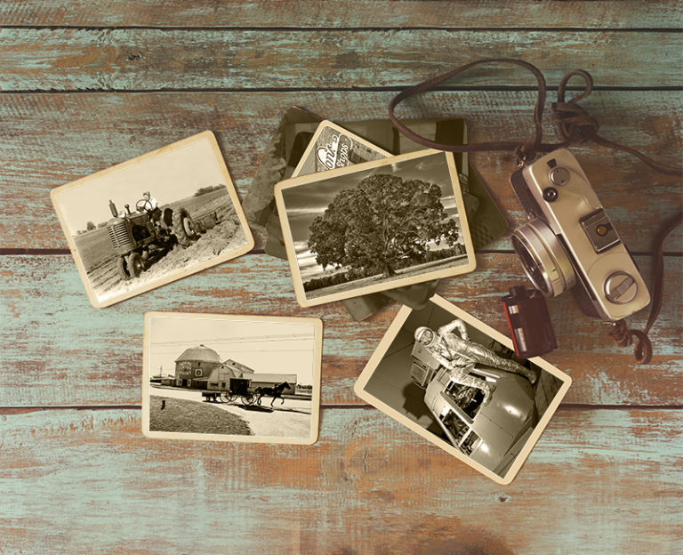 Reading the World Through the Lens of a Camera: Books for National ...