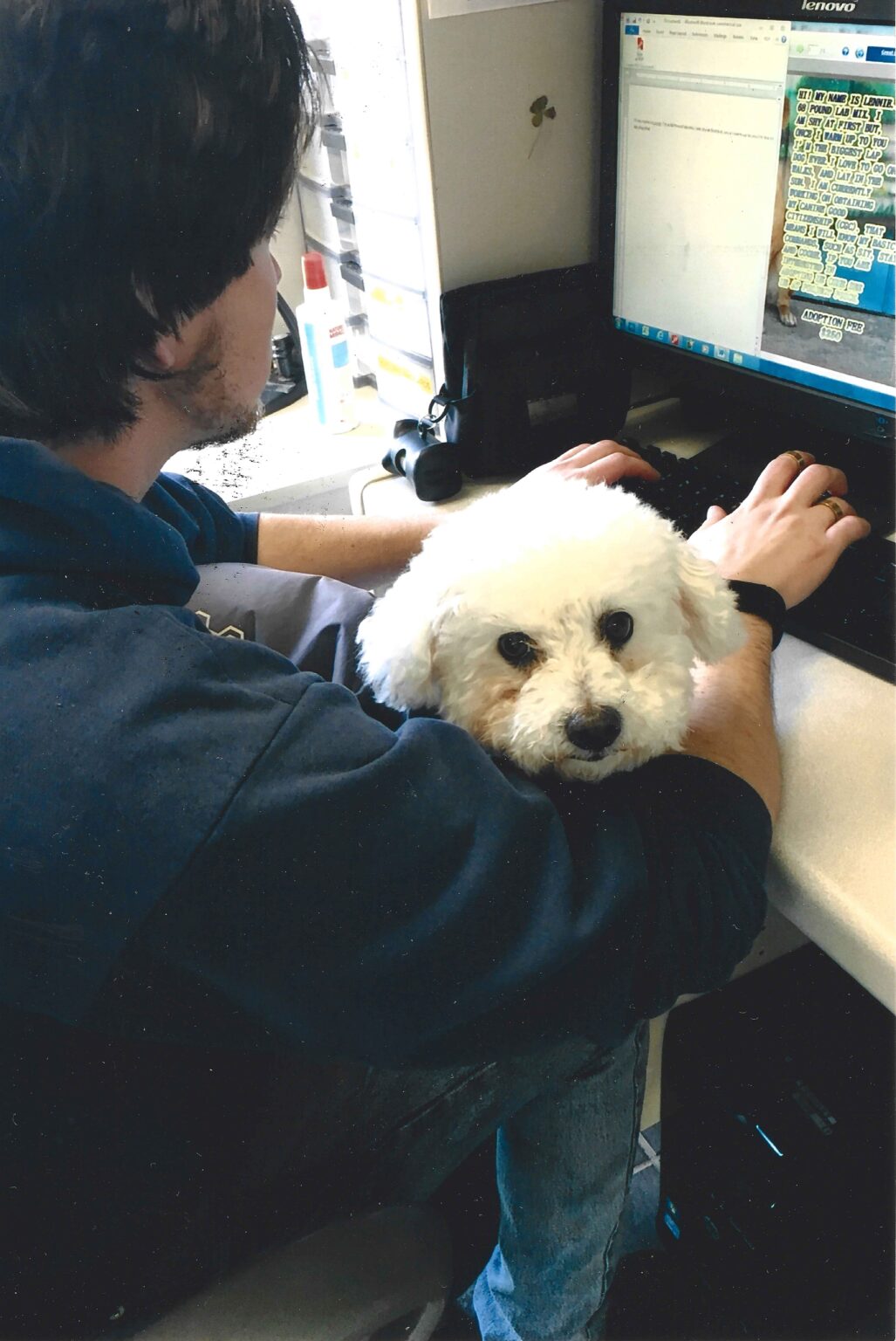 The Story of Project POOCH: A Q & A with Author Joan K. Dalton - Purdue University Press