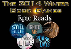 The 2014 Winter Book Games | Epic Reads Blog