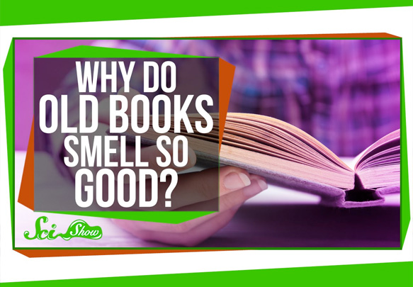 The Science Behind Why Old Books Smell So Good