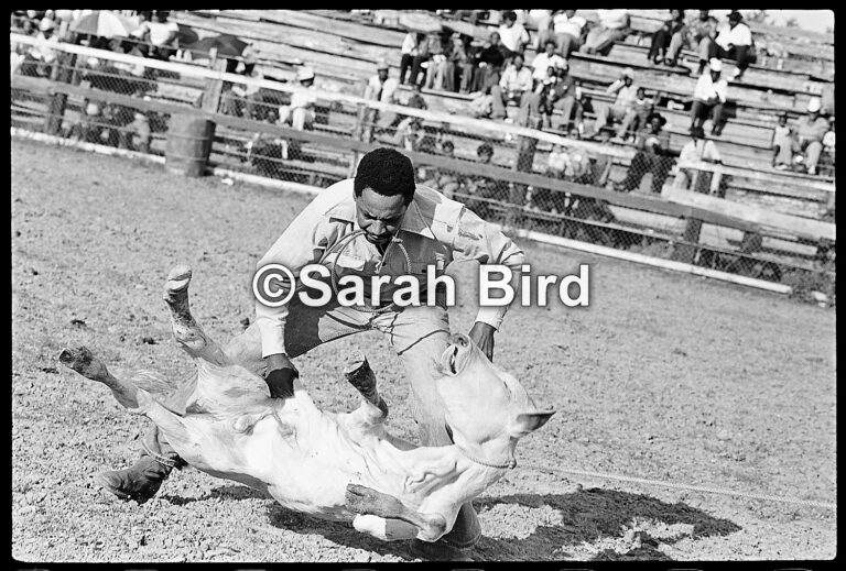 Juneteenth Rodeos - University of Texas Press