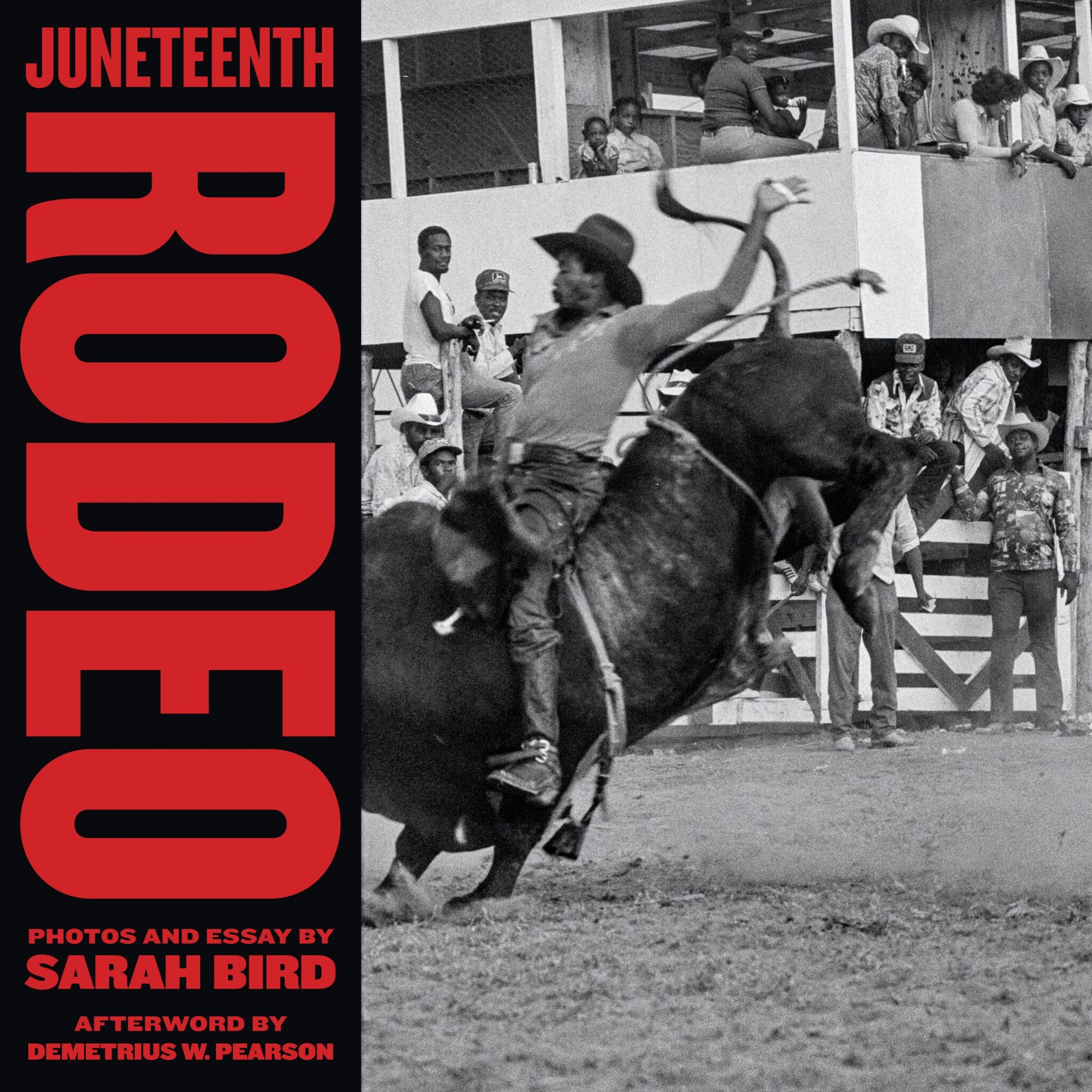 Juneteenth Reads: History, Culture, and Liberation - University of ...