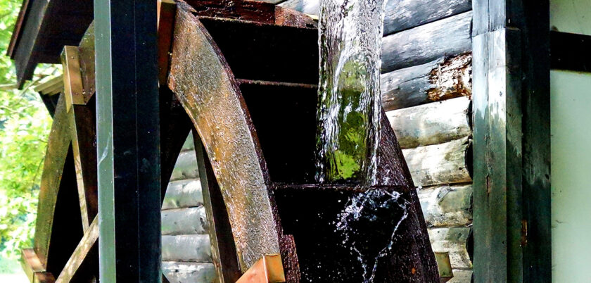 The World's First Corporations - Yale University Press