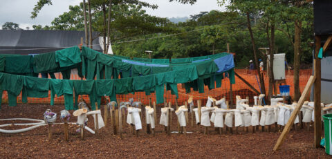 Ebola: Where Did it Come From and Why Does It Spread? - Yale University ...