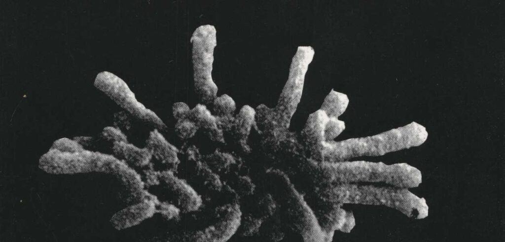 The Origins of Sex - Yale University Press