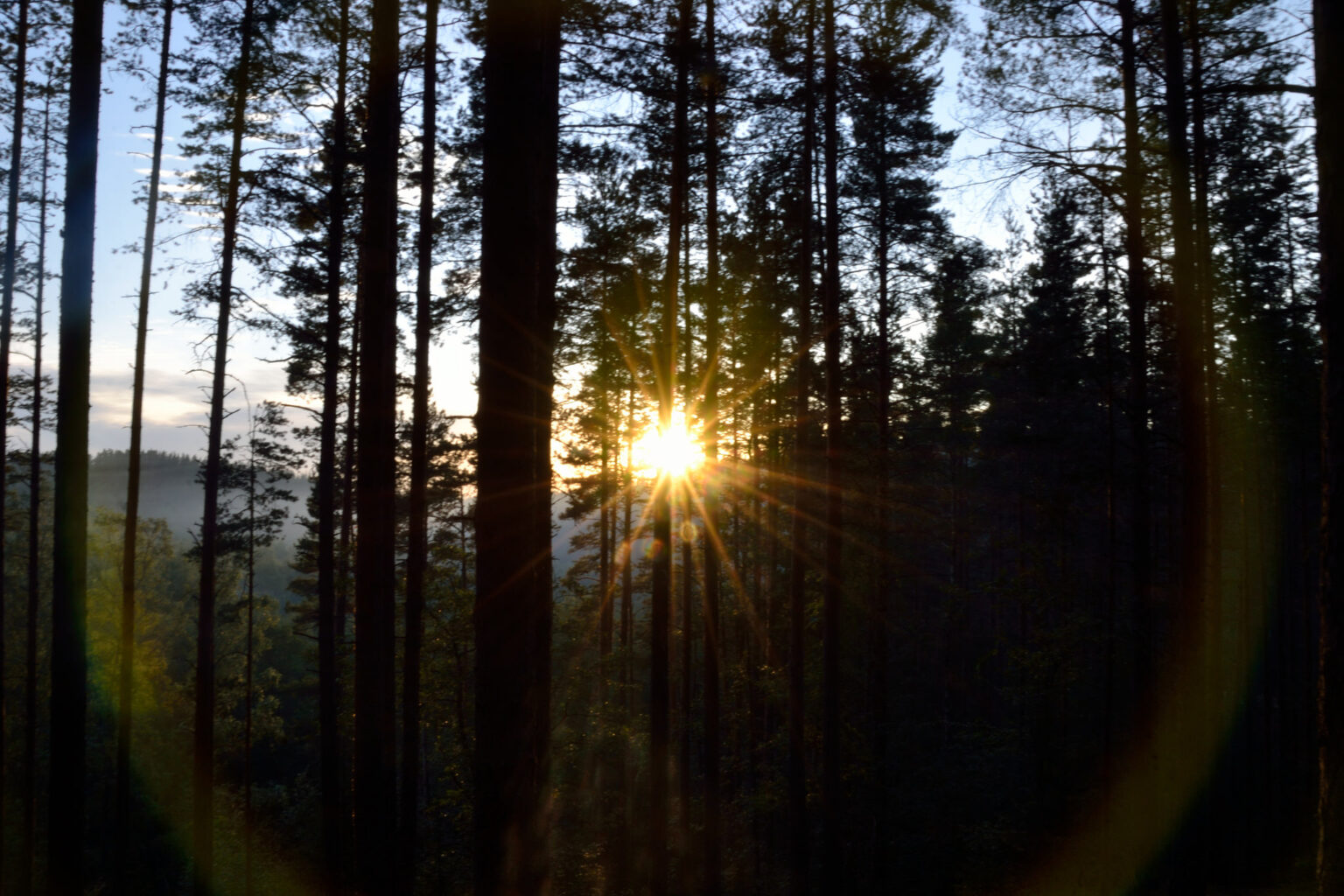 The Discovery of Acid Rain - Yale University Press