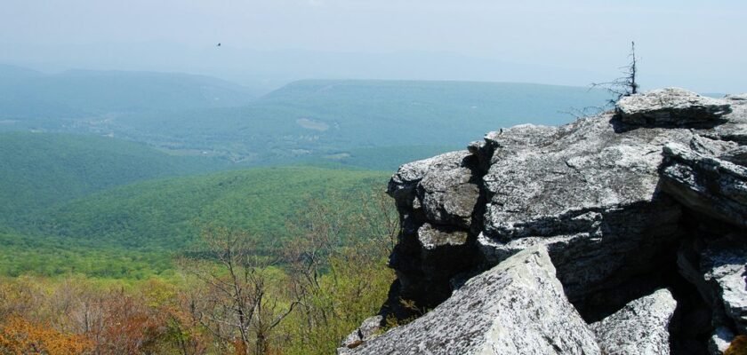 The Power of Biophony - Yale University Press