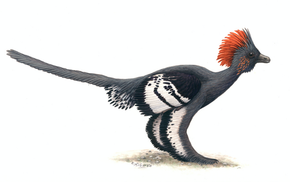 The First Discovery of Feathered Dinosaurs - Yale University Press