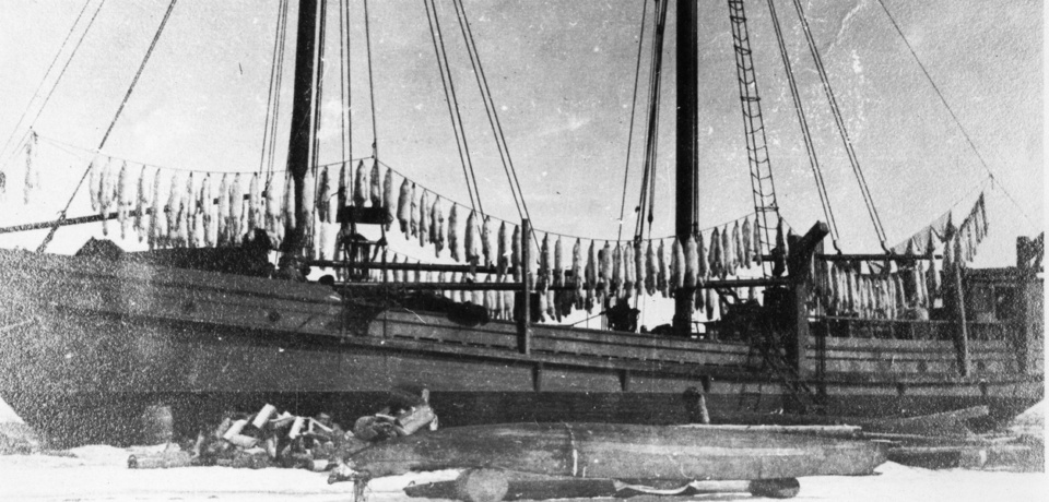 The Fur Trade in the Western Arctic - Yale University Press