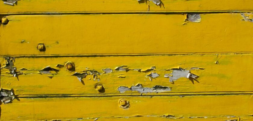 Color Codes - Yale University Press