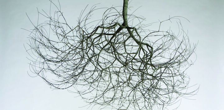The Artist at Home with Her Art: Ruth Asawa - Yale University Press