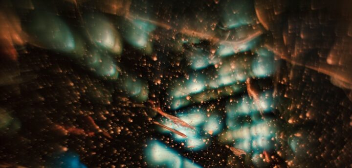 What Happened to Mescaline? - Yale University Press