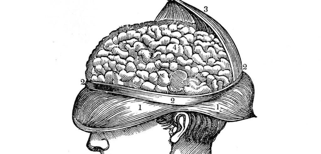 Ep. 55 - How the Brain Works - Yale University Press