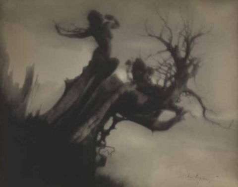 Anne Brigman, Photographer - Yale University Press