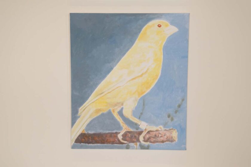 A Day at the Beach and Some Other Interesting Times at the 2019 Venice ...